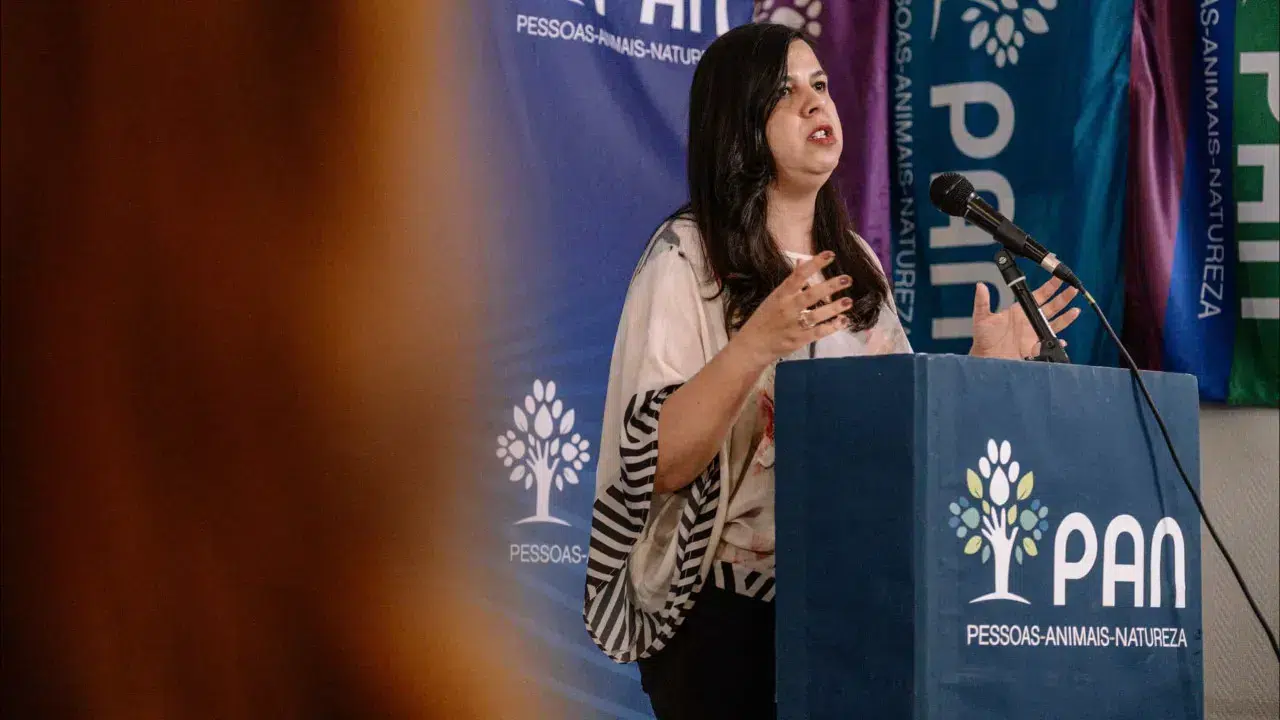 Inês de Sousa Real returns to lead the PAN list for Lisbon in the ...