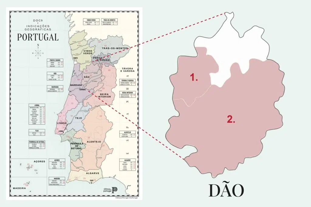 Dão Wine Guide: Elegant Reds & Wine Tours - PPulse
